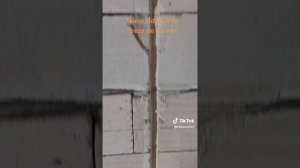 Impex ST 67 - freza gen Macroza in zid de BCA