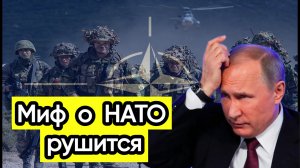 Новости из Telegram...НАТО...