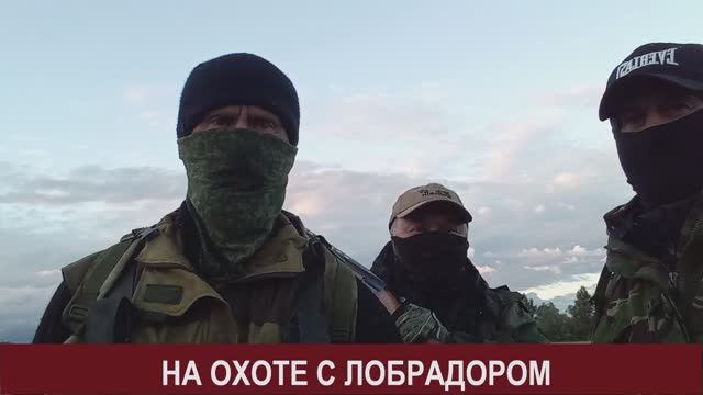 На охоте с лобрадором