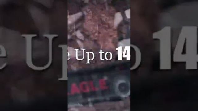 Удивительные технологии (электрический скейтборд)