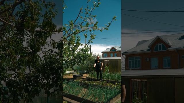 Какой урожай можно вырастить на высоких грядках из ДПК? #высокиегрядки #грядкииздпк #декинг #грядки