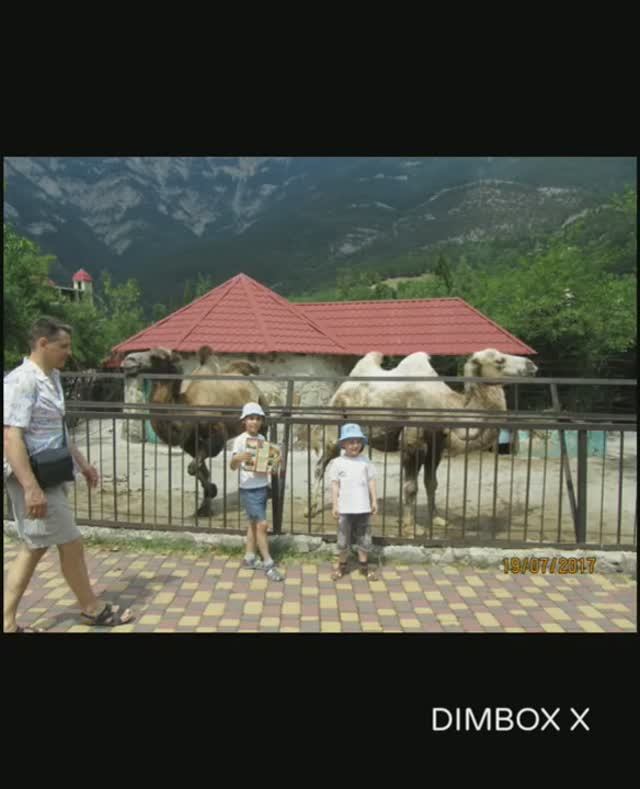 Ялтинский зоопарк. Крым