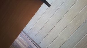 Посещение антисоветской организации НГО УФССП ПК