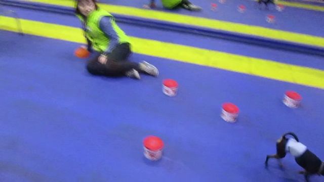 БиггиНВ2.mp4