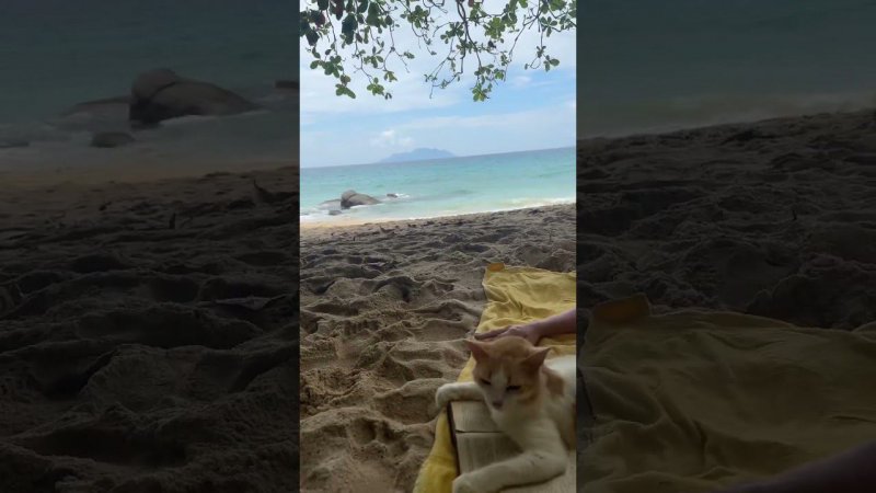 Красота в глазах смотрящего