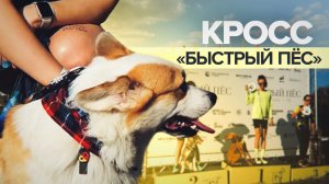 В Москве прошёл массовый забег с собаками «Быстрый пёс» — видео