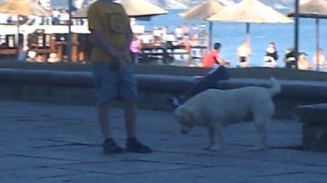 Start of the season/07 06 2020/ DSCN7360