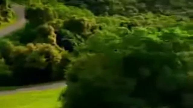 Видео - Реклама энергетика Kfee