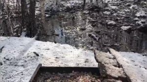 Кабаны приходили 5.05.2022