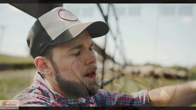 Человек среди овец (A Man Among The Sheep)