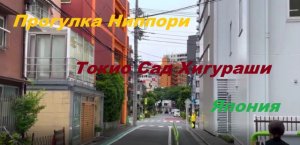 Прогулка Ниппори, Токио Сад Хигураши