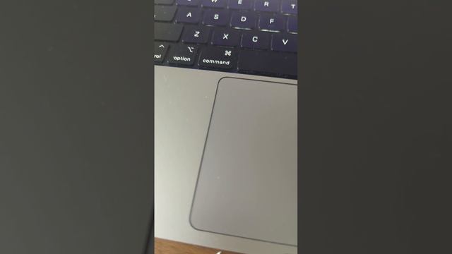 scene_output.mp4
