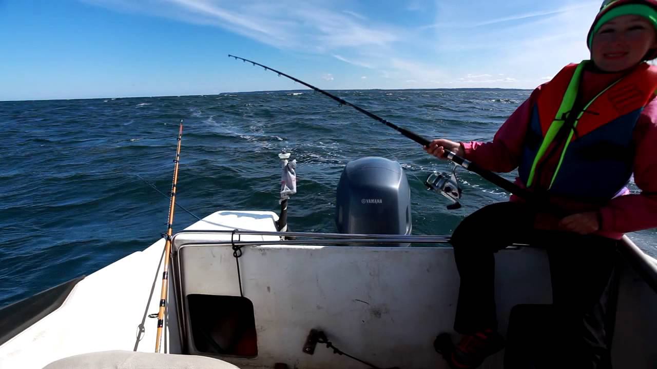 Морская рыбалка на мысе Таран Fishing 2014