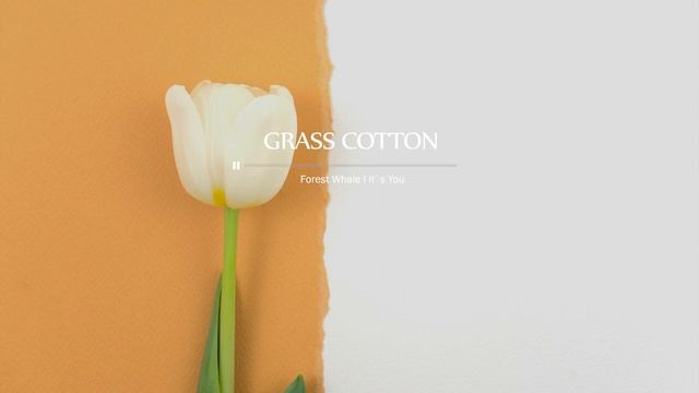 Приятная теплая успокаивающая музыка. Музыка для чтения и отдыха.