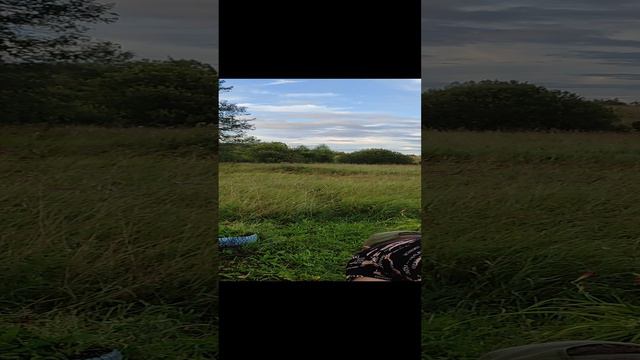 1000560359.mp4