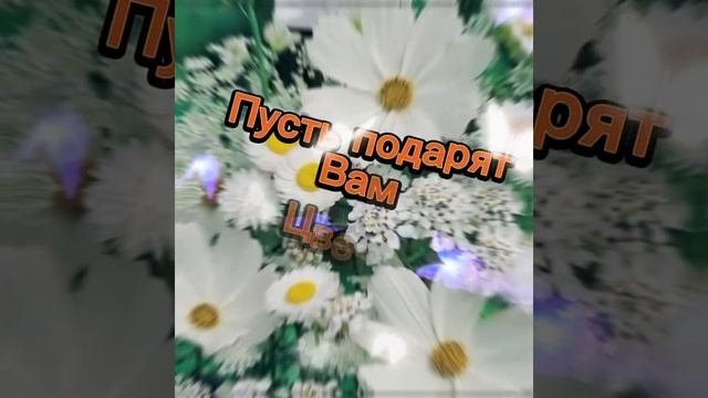 Доброе утро5