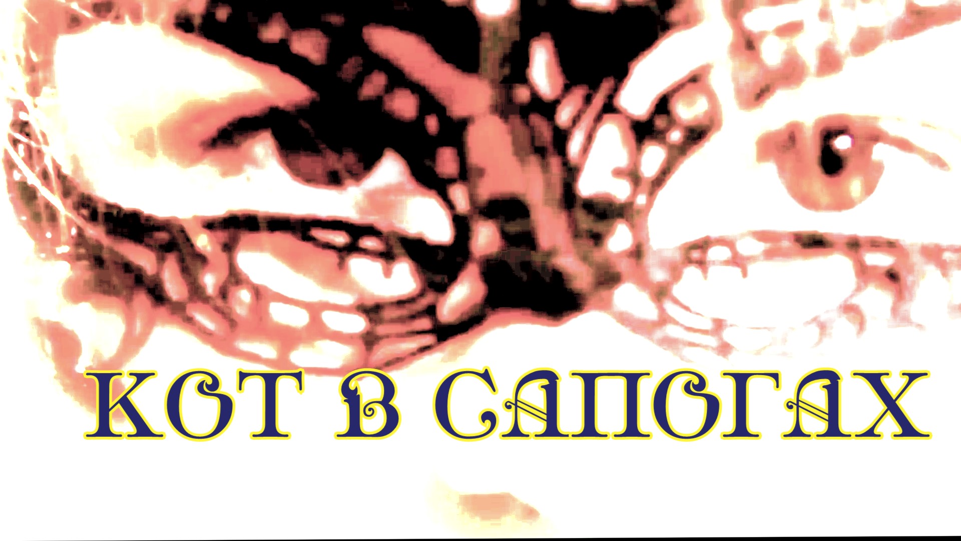 "Кот в сапогах" Фильм Максатиха Кэмп 2015 г.