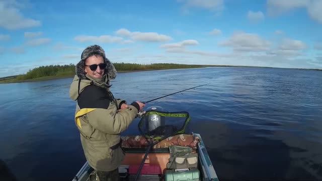 В поисках хищника