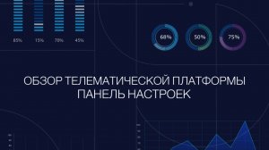 Телематическая платформа SKYLON: обзор платформы, раздел "Панель настроек"