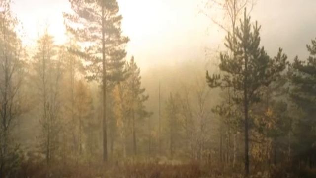 Владимир.Антонов. sattva-of-mists-ru.mp4.mp4