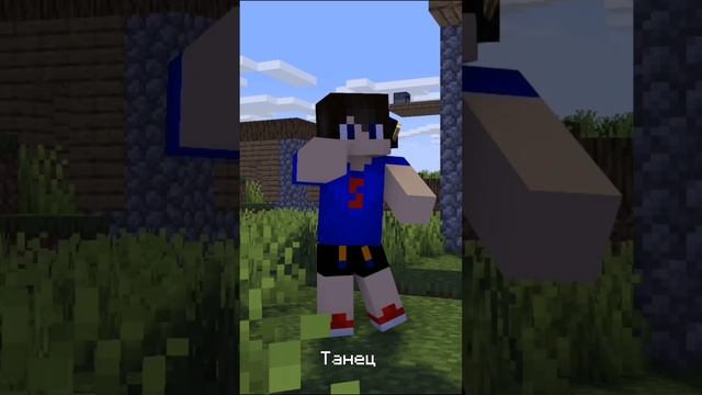 Тест движений - Mine Imator