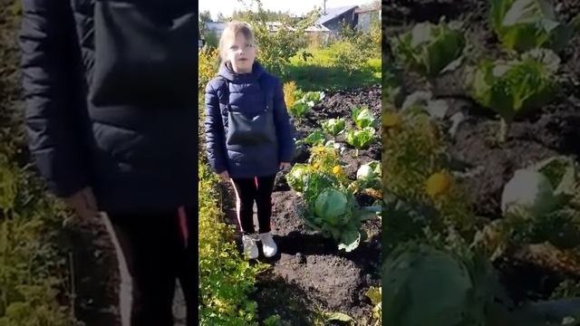 Гаврилова Вероника Сергеевна.mp4