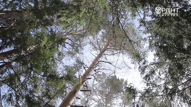 Праздник Акашка Карамас Пельга 2018