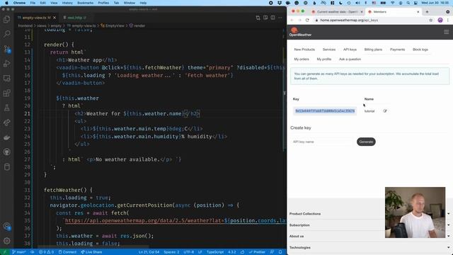 2 Ways To Call A Rest Api Java And Typescript Spring Boot Lit Vaadin 2741
