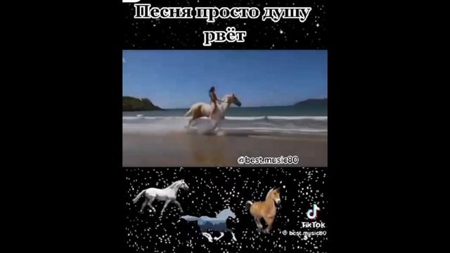 Погоняю лошадей...