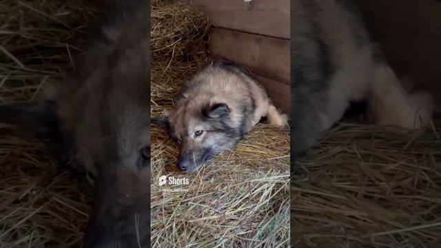У всех бывают такие минуты..