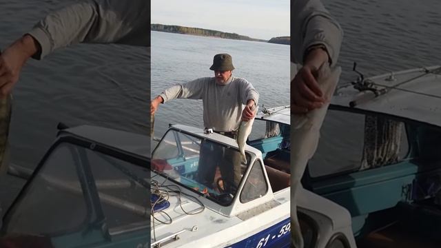 Олды на рыбалке