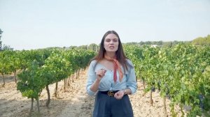 Лучшее игристое вино Испании. КОРПИНАТ (CORPINNAT)