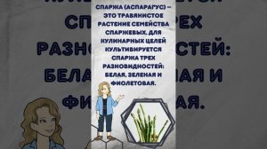 Что из этого спаржа?