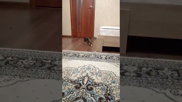 5 ноября 2023 г.