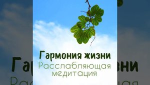 Внутренним миром