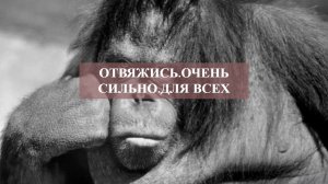 ОТВЯЖИСЬ.ОЧЕНЬ СИЛЬНО.ДЛЯ ВСЕХ