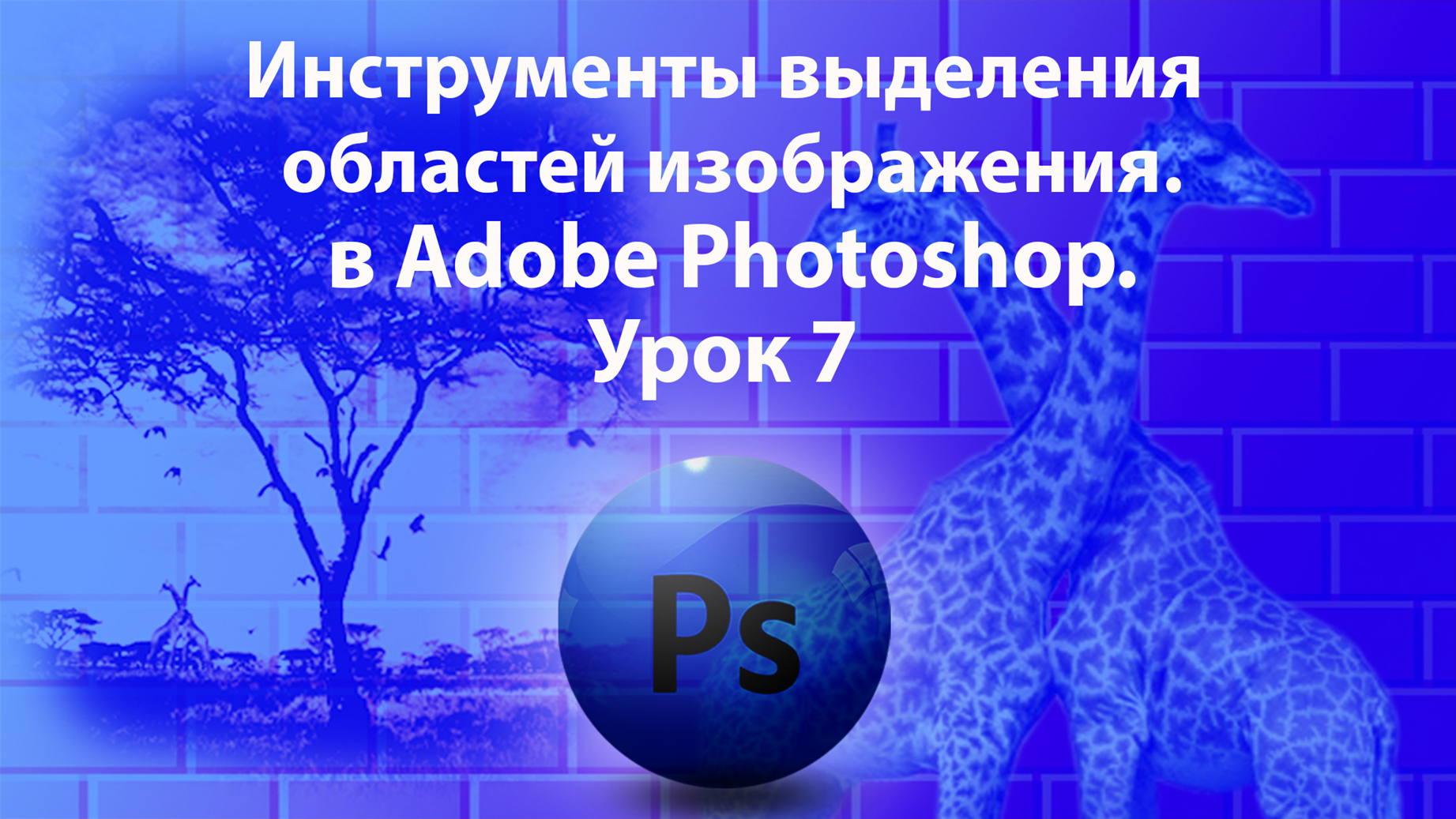 Уроки Фотошопа. Adobe Photoshop. Урок 7. Инструменты выделения областей изображения.