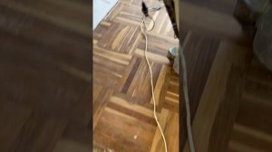 Циклевка паркета в Спб и Ло