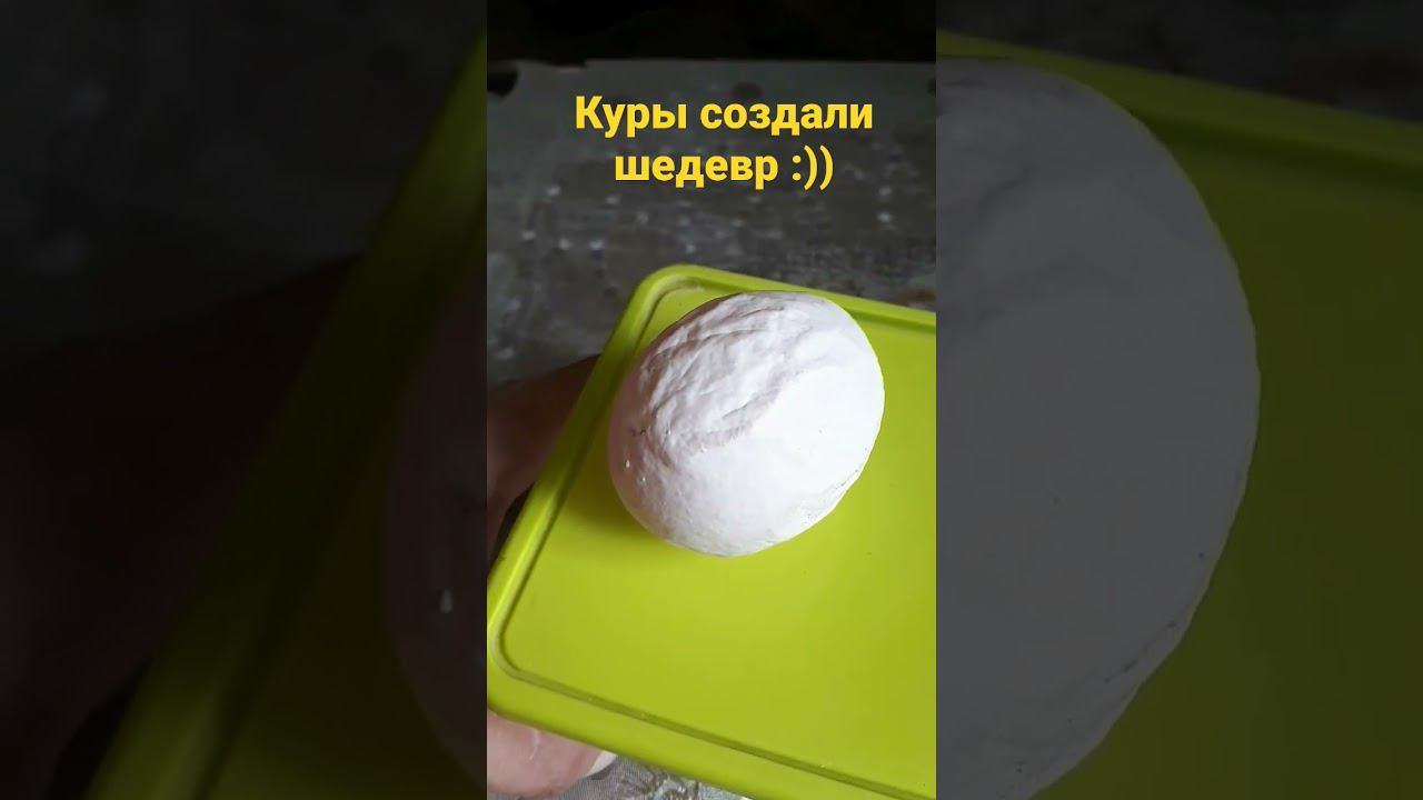Куры создали шедевр