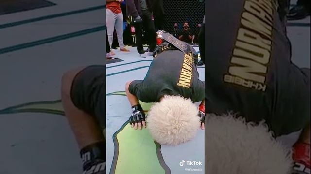 3b9a1d342d9044db0b66f3a879f746ac.mp4