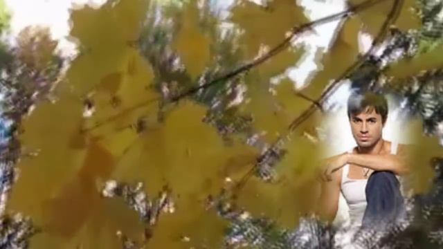 Листья желтые медленно падают.mp4