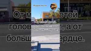 Мудрые мысли: Весь мир находится в пути#мудрыесоветы #мудрыецитаты #мудрыеслова #мудрые_слова