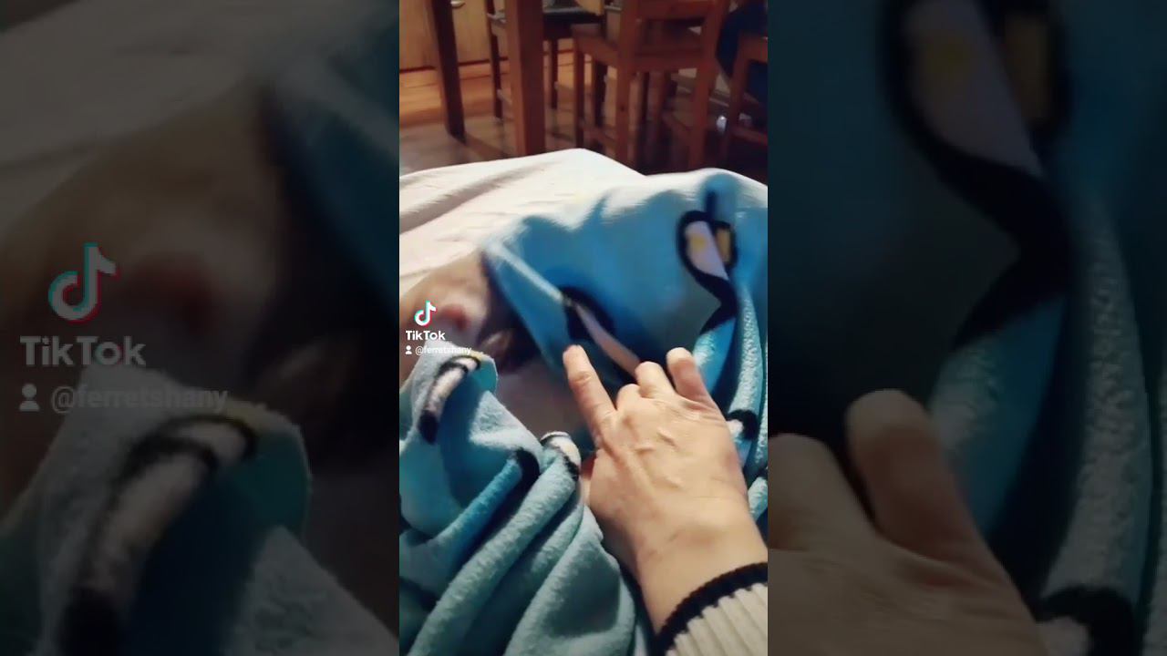 Казза