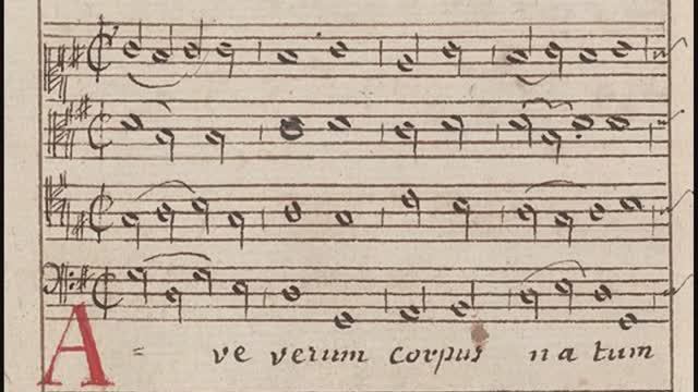 Ave verum. Antiphonarium Schutterense