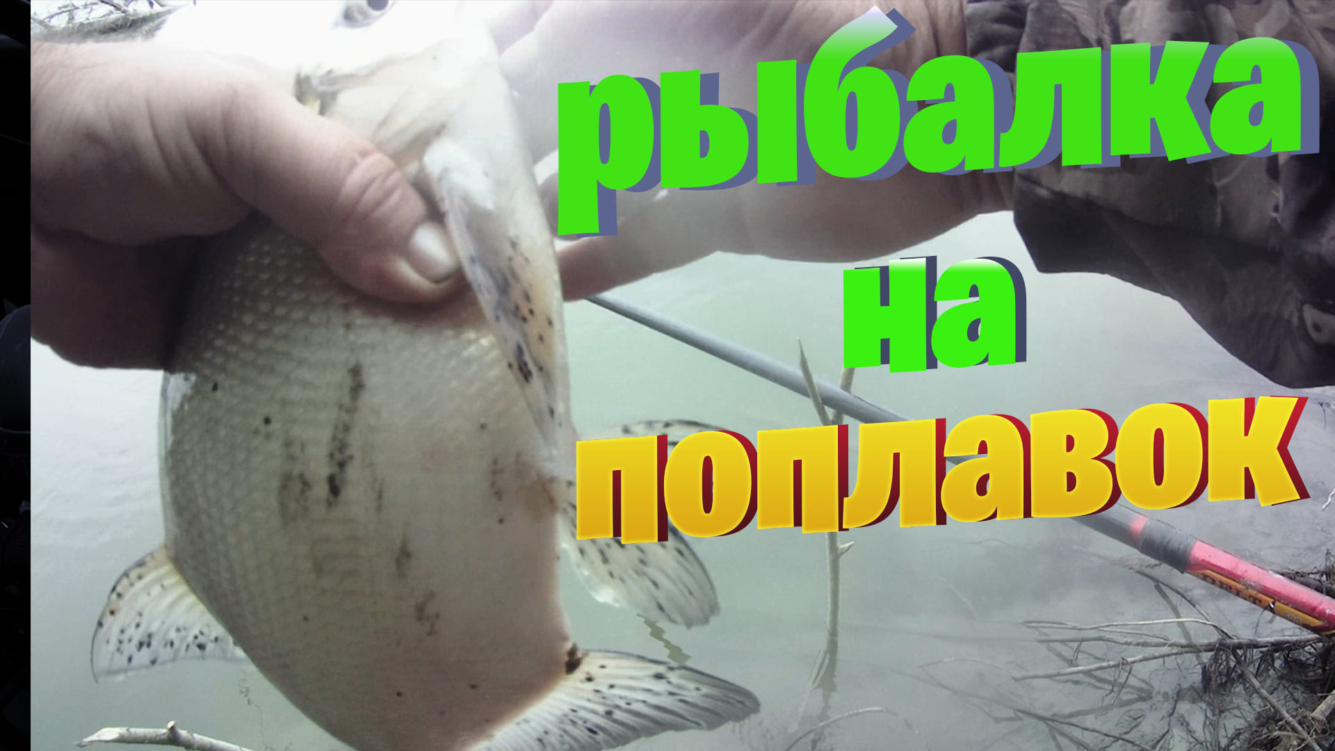 рыбалка на поплавок