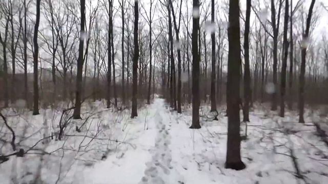 Как сделать механический стедикам из видео монопода