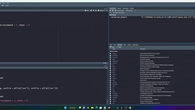 The Complete RSelenium Installation Guide (2023) - смотреть видео онлайн от «Python техники» в ...