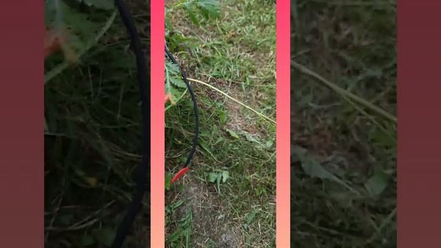 《Пришелец?》
#angel_bream_team #greku_anzhela
#angel_bream_ag #сказка #ag