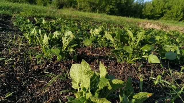 Дело было вечером.... Архив от 05.06.2022г.