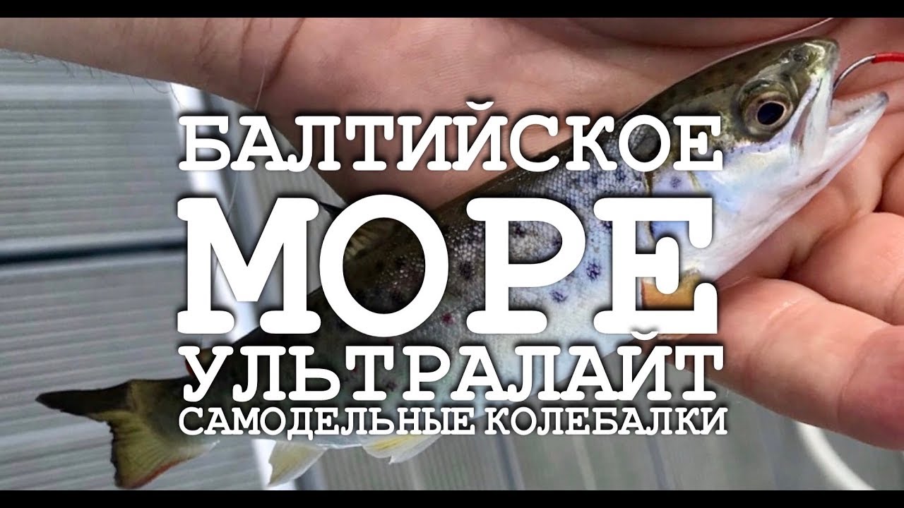 Рыбалка, морская форель с пирса